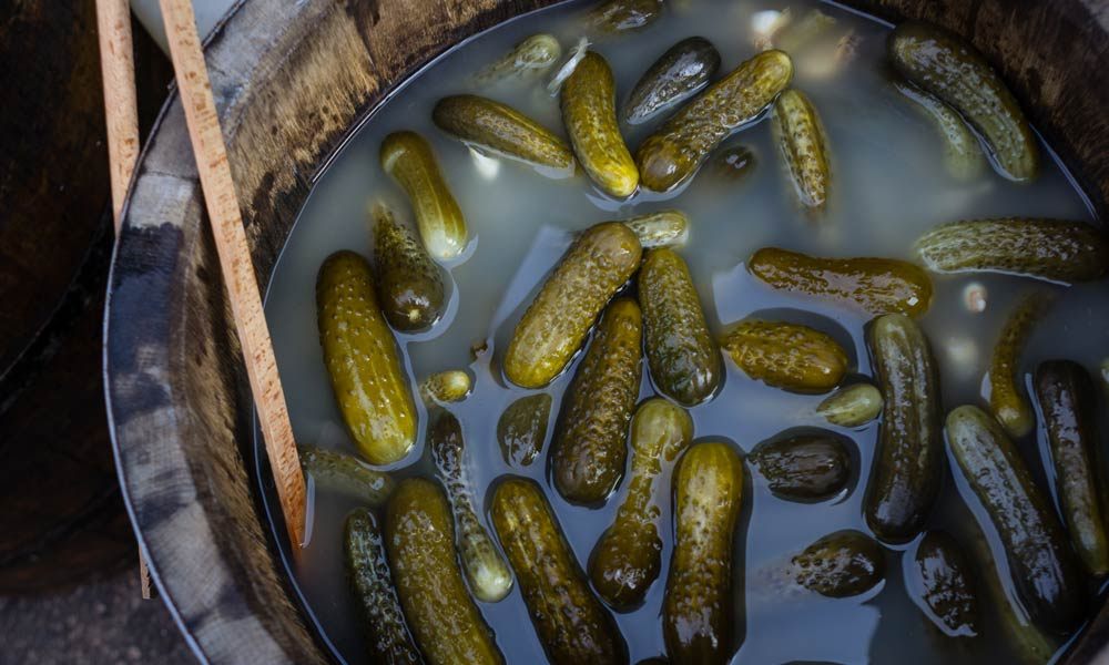 14 novembre. National Pickle Day: le sel de la mémoire. – Yiddish Pour Tous
